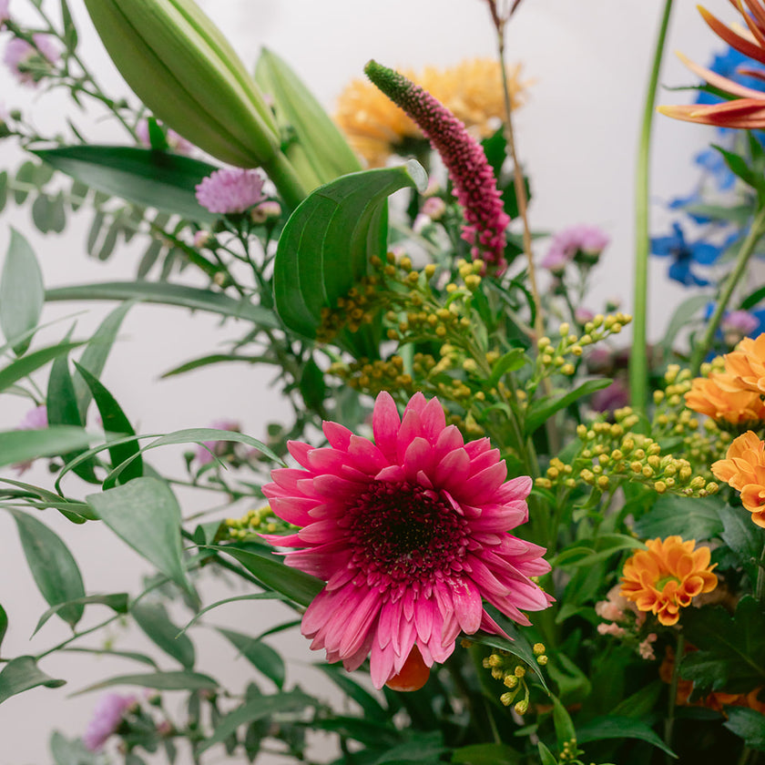 online bloemen- en plantenwinkel in Mechelen | DE STEK – De Stek