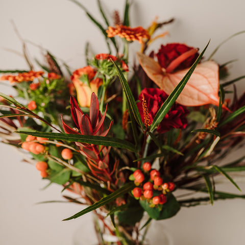 online bloemen- en plantenwinkel in Mechelen | DE STEK – De Stek